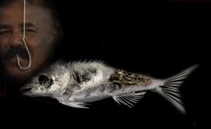 A Fish Rots From The Head - Awate.com