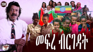 Negarit 230: Campaigns of Brigades - Awate.com